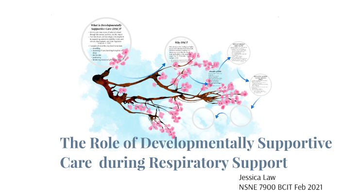 Developmentally Supportive Care and its Challenges in Respiratory ...