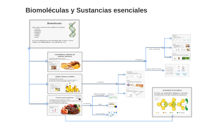 Biomoléculas y Sustancias esenciales by Heidy Torres Venegas on Prezi