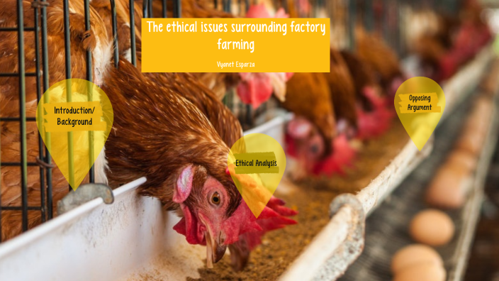 The ethical issues surrounding Factory Farming by Vyanet Esparza on Prezi