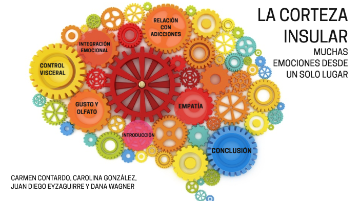 LA CORTEZA INSULAR by carmen contardo on Prezi