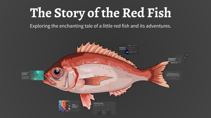The Story of the Red Fish by ismail bingöl on Prezi