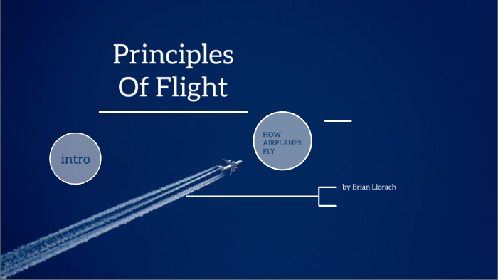 Principles Of Flight by Brian Llorach on Prezi