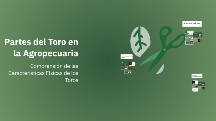 Partes del Toro en la Agropecuaria by Sarahy Pabon on Prezi