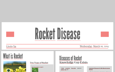 Rocket Disease by Limin Xu on Prezi