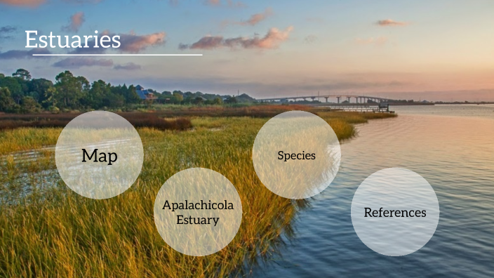 Ecosystem Mapping - Estuaries by Molly Lucas22 on Prezi