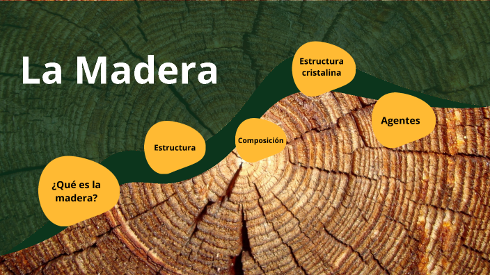 La Madera by Mariangelica Soto on Prezi