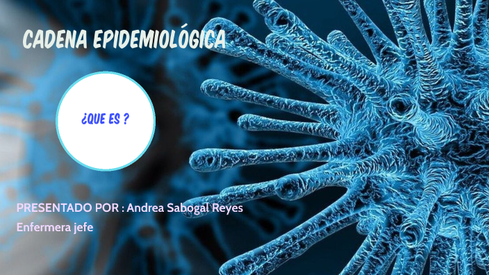 CADENA INFECCIOSA by andrea sabogal on Prezi