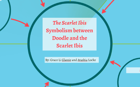 The Scarlet Ibis Symbolism between bother and Doodle by Grace Glassie ...