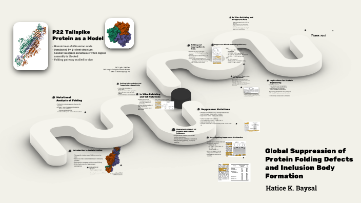 Global Suppression of Protein Folding Defects and Inclusion Body ...