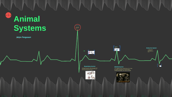 Circulatory System by Jalyn Ferguson on Prezi