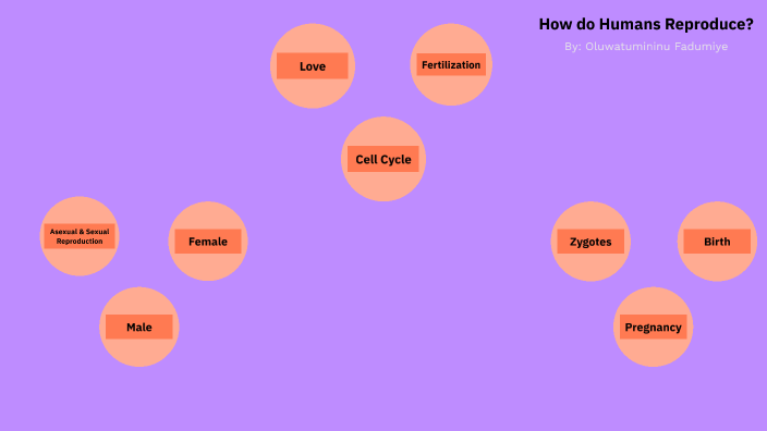 How do Humans Reproduce? by Oluwatumininu Fadumiye on Prezi