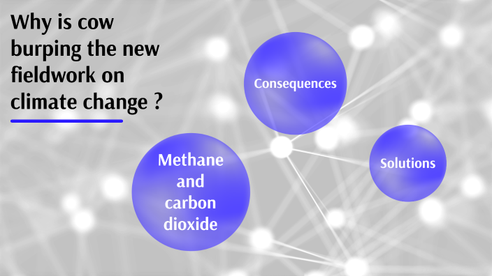 Why is cow burping the nex fieldwork on climate change ? by Anne-Lyse ...