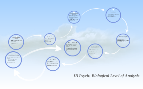 IB Psych: Biological Level of Analysis by Matthew Hagwood on Prezi