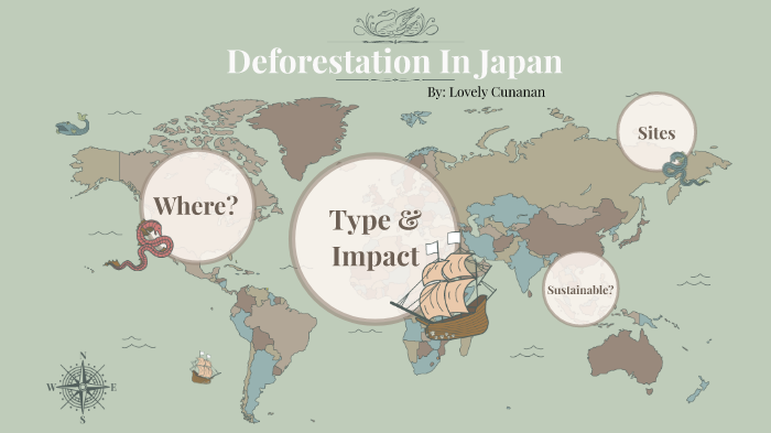Deforestation in Japan by l c on Prezi