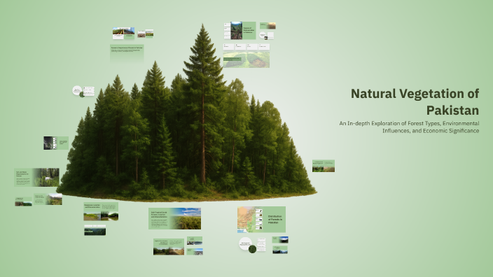 Natural Vegetation of Pakistan by Shajiya on Prezi