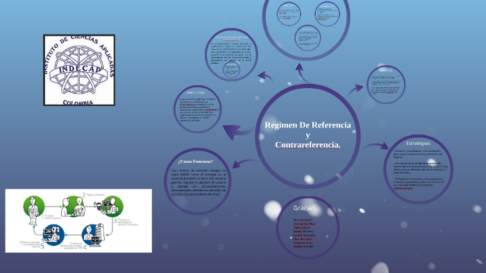Regimen De Referencia y Contrareferencia by