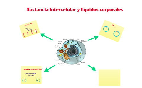 Sustancia intercelular y liquidos corporales by on Prezi