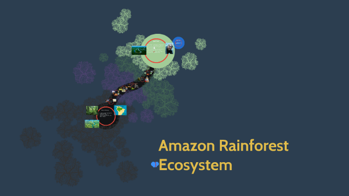 Amazon Rainforest Ecosystem by sahib dhanju on Prezi
