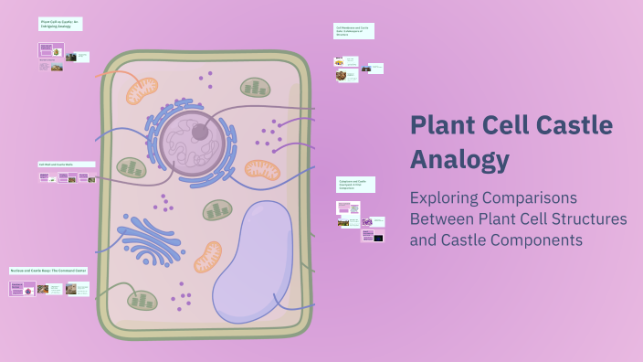 Plant Cell Castle Analogy by Bethany Campbell on Prezi
