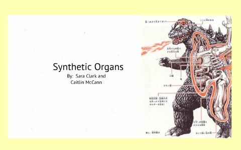 Synthetic Organs by Sara Clark on Prezi