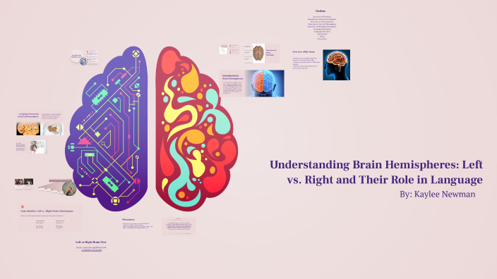 Understanding Brain Hemispheres: Left vs. Right and Their Role in ...