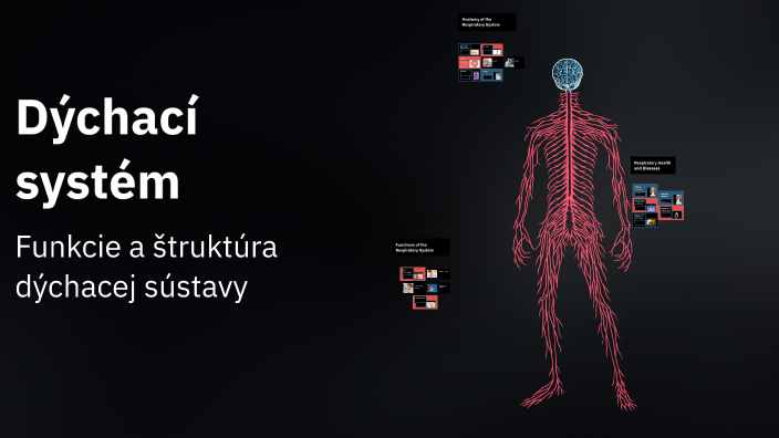 Dýchací systém by Vanesa Rafajova on Prezi