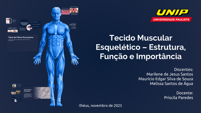 Tecido Muscular Esquelético – Estrutura, Função e Importância by CARINE ...