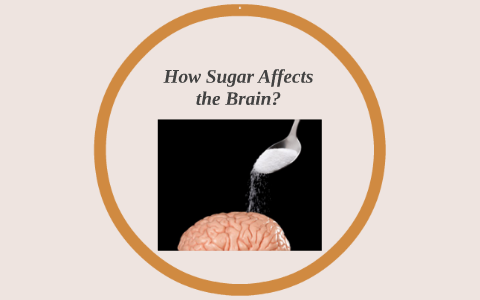 How Sugar Affects the Brain? by Jun Wang on Prezi