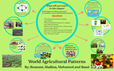 World Agricultural Patterns by iisuperwomanii puppy