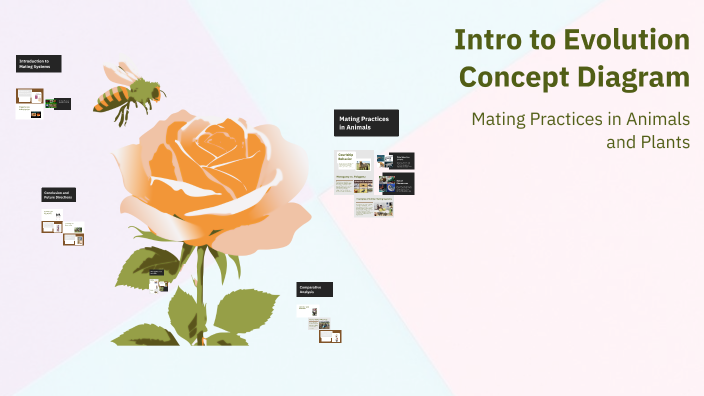 Intro to Evolution Concept Diagram by I Z on Prezi