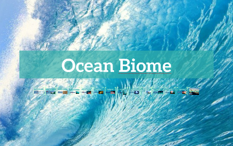 ocean biome project science by Anna Nemeth on Prezi