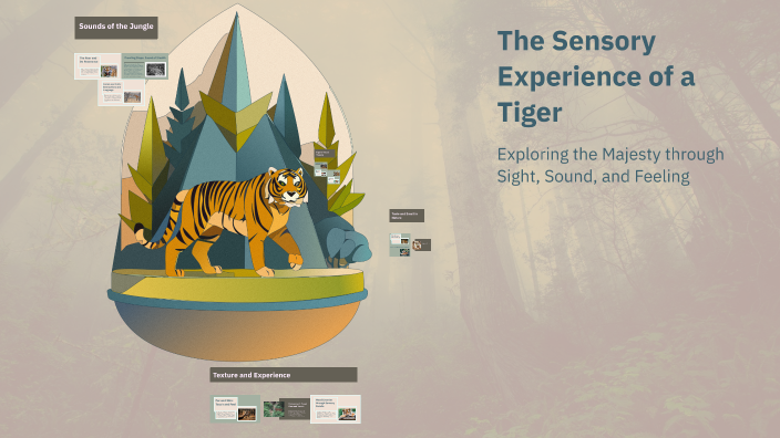 The Sensory Experience of a Tiger by XAVIER IVEY (Student) on Prezi