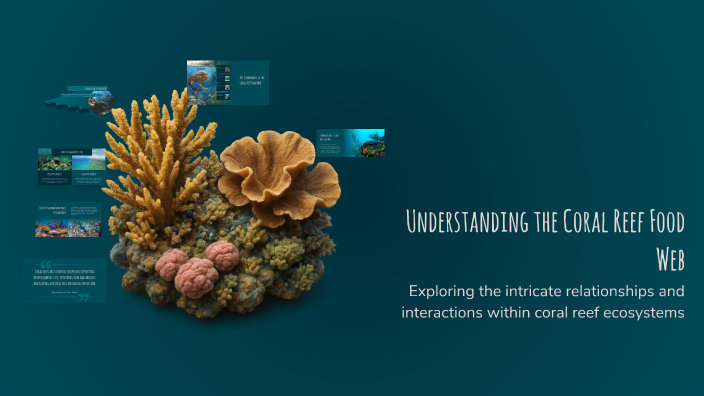 Understanding the Coral Reef Food Web by Neisan Harris on Prezi