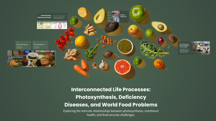 Interconnected Life Processes: Photosynthesis, Deficiency Diseases, and ...