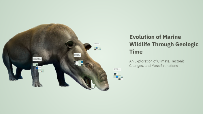 Evolution of Marine Wildlife Through Geologic Time by Thomas Doan on Prezi
