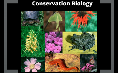 Conservation Biology Field Map by Margaret Smith on Prezi