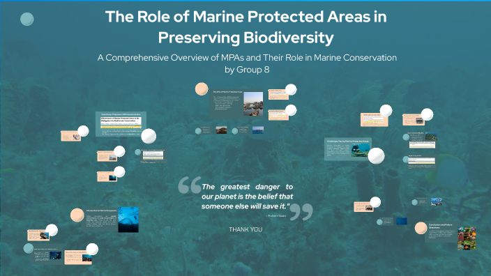 The Importance of Marine Protected Areas in Safeguarding Biodiversity ...