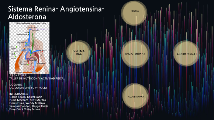 SISTEMA RENINA-ANGIOTENSINA-ALDOSTERONA by kristel garcia on Prezi