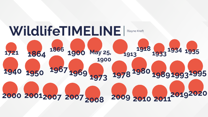 Wildlife Timeline by Blayne K. on Prezi