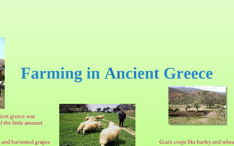 Farming in Ancient Greece by Faith Fenton on Prezi