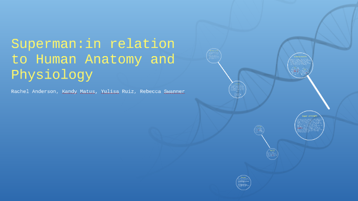 Superman: Human Anatomy and Physiology by rebecca swanner on Prezi