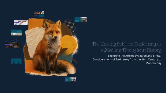 The Unsung Subjects: Taxidermy as a Medium Throughout History by Sofia ...