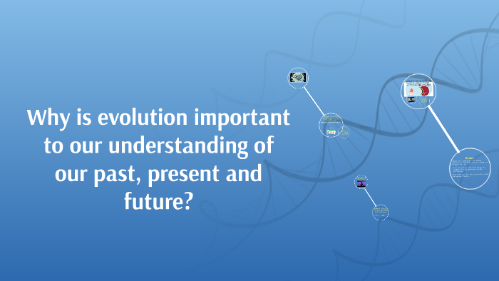Why is evolution important to our understanding of our past, by D Maier ...