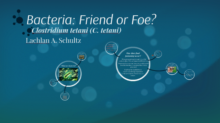 Bacteria: Friend or Foe? by Lachlan Schultz on Prezi