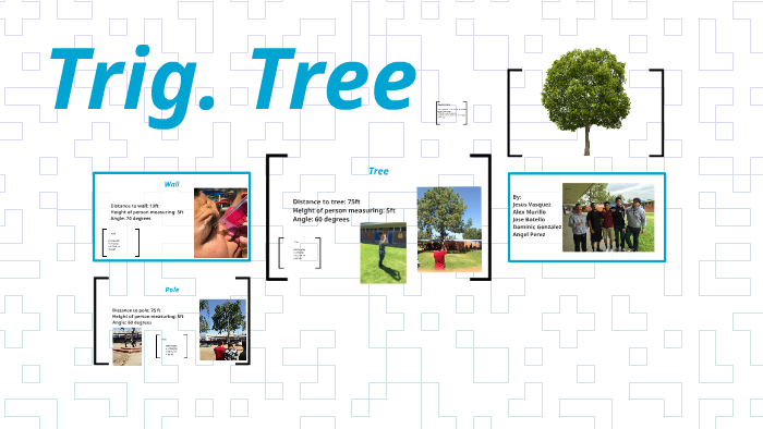 Trig. Tree by Jose Botello on Prezi