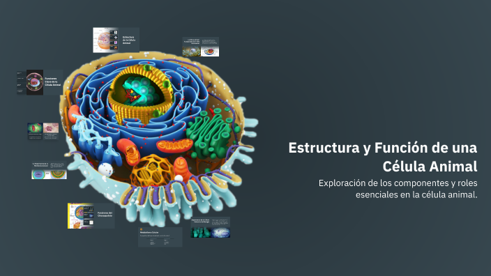 Estructura y Función de una Célula Animal by EMERSON DAMIAN MENJIVAR ...