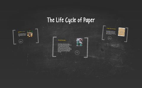 The Beginning of the Life Cycle of Paper by Bailey Davis on Prezi