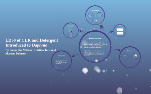 LD50 of Daphnia Exposed to CLR and Detergent by Samantha Wilson on Prezi