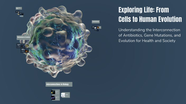 Exploring Life: From Cells to Human Evolution by G P on Prezi