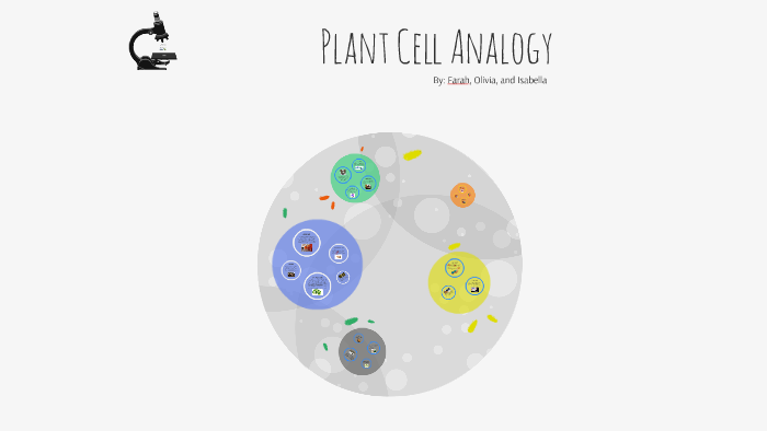 Plant Cell Analogy by Isabella I on Prezi